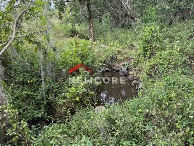 Chácara em Igrejinha Nova Aurora Igrejinha/RS