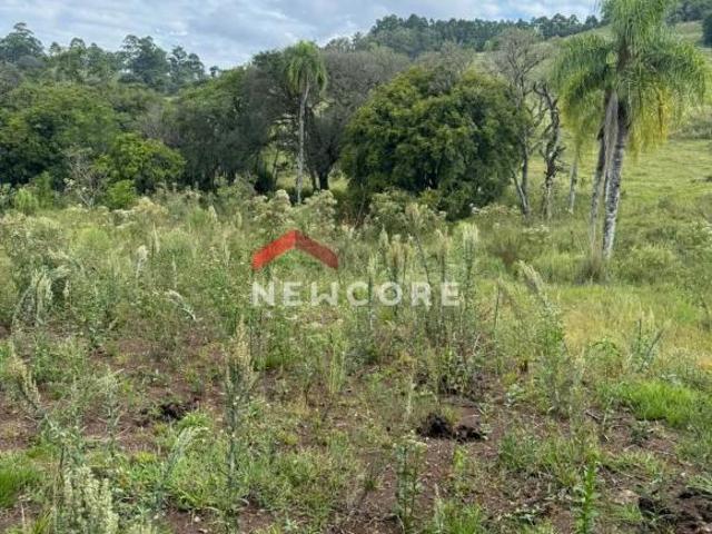 Chácara em Igrejinha Nova Aurora Igrejinha/RS