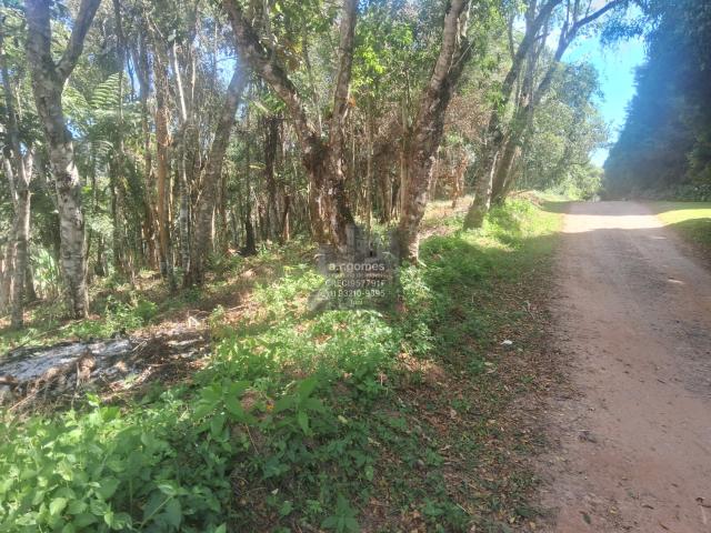 Chácara em Jardim Adelina, Cotia/SP de 2000m² à venda por R$ 119.000,00