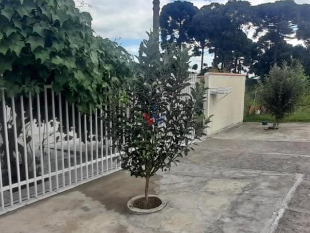 Chácara em Jardim Amélia, Pinhais/PR de 20000m² à venda por R$ 649.900,00