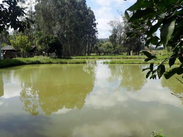 Chacara em Linha Nova, santa cruz do sul