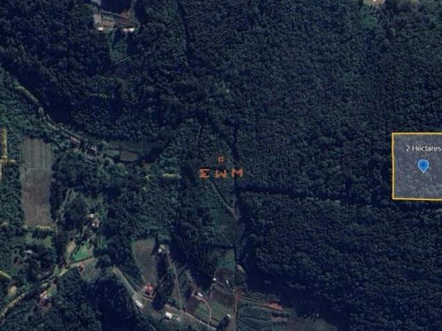 Chácara em Linha São Miguel em FarroUpilha/RS