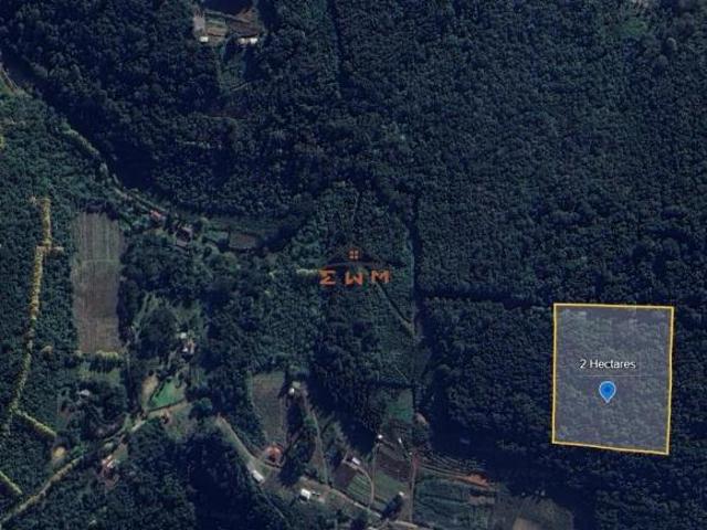 Chácara em Linha São Miguel em Farroupilha/RS