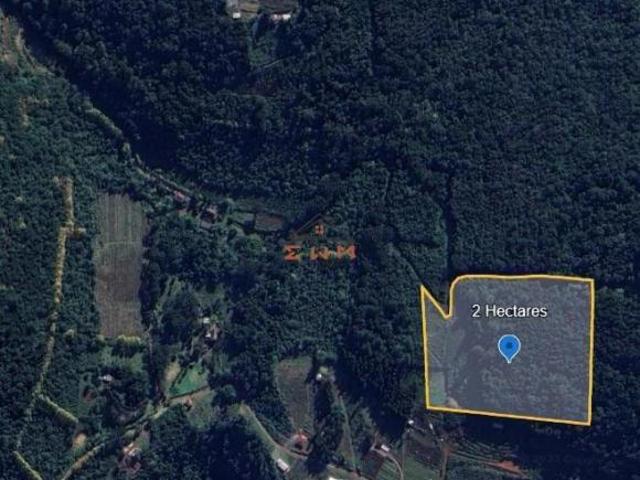 Chácara em Linha São Miguel em Farroupilha/RS