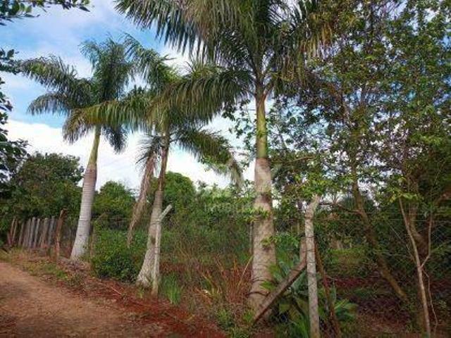 Chácara em Paiquerê com 2 dormitórios à venda, 3608 m² por R$ 205.000 Paiquerê Londrina/PR