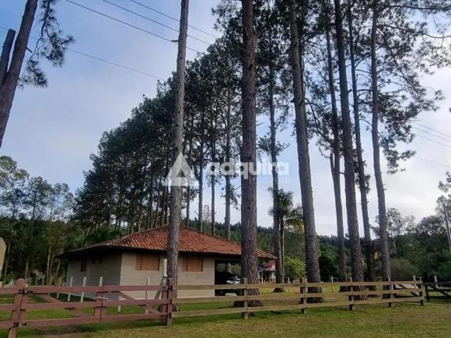 Chácara em Periquitos, Ponta Grossa/PR de 180m² 2 quartos à venda por R$ 550.000,00