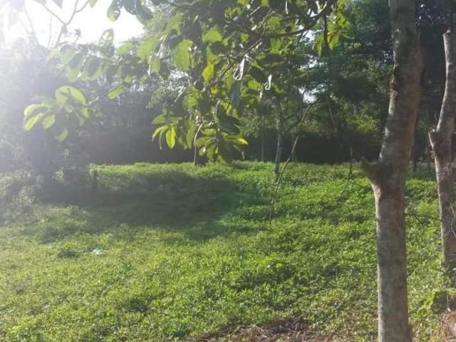 Chácara em, Peruíbe/SP de 0m² 2 quartos à venda por R$ 400.000,00