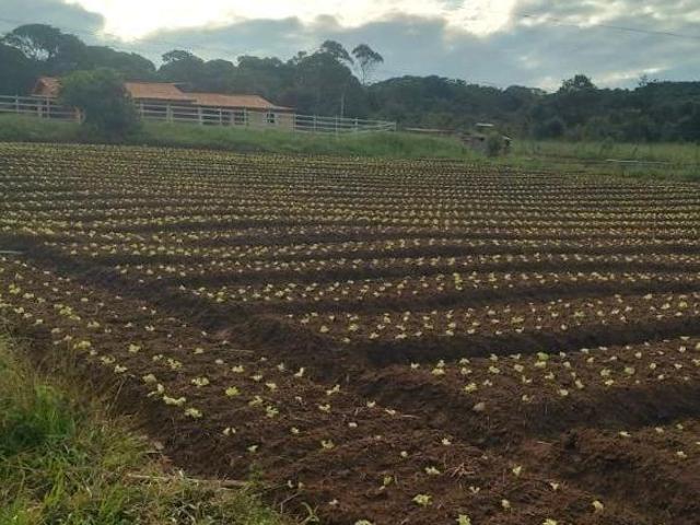 CHÁCARA EM PIEDADE DOS GERAIS LUGAR TRANQUILO,PERTO DA CIDADE