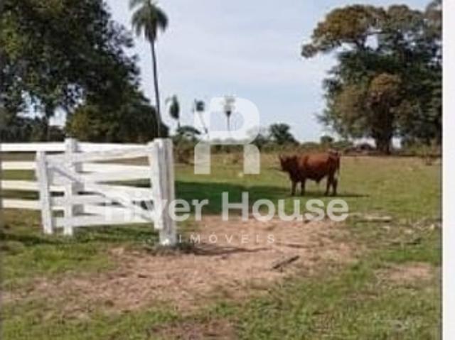 Chácara em Pirizal, Nossa Senhora Do Livramento/MT de 150m² 3 quartos à venda por R$ 8.999.000,00