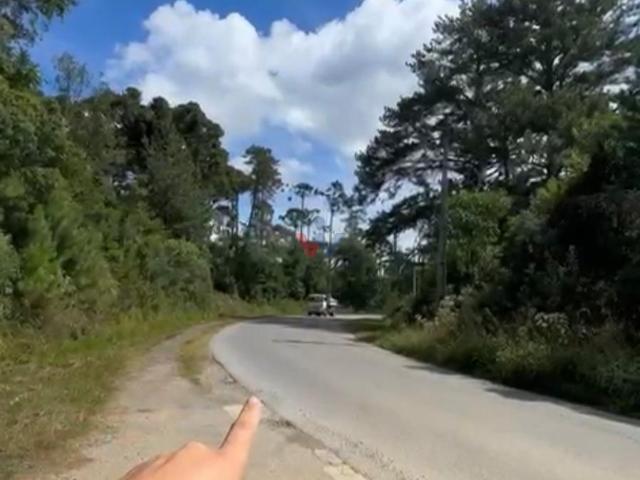 Chácara em, Quatro Barras/PR de 5000m² à venda por R$ 689.000,00