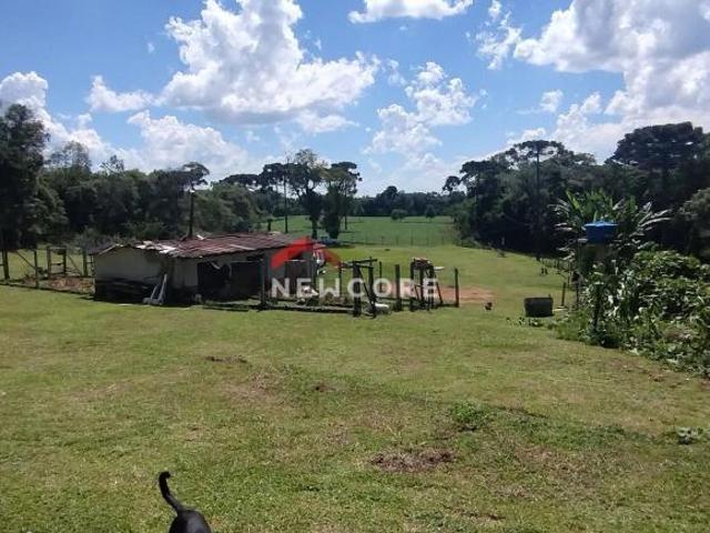 Chácara em Rua Alberto Michosz, 5434 Campestre da Faxina São José dos Pinhais/PR