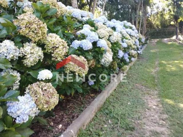 Chácara em Rua Alberto Michosz, 5434 Campestre da Faxina São José dos Pinhais/PR