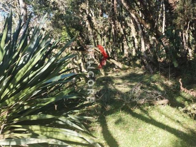 Chácara em Rua Antônio Greboge, 8000 Centro Colônia Malhada/PR