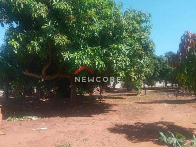 Chácara em Rua Antônio Pereira de Almeida Morada Nova Uberlândia/MG