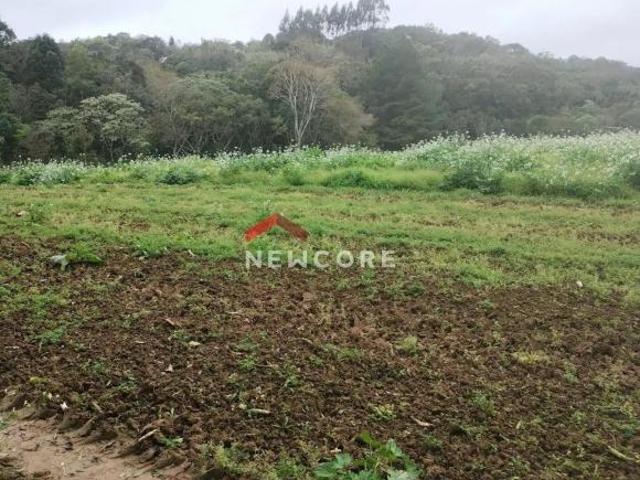 Chácara em Rua Campestre Colônia Murici São José dos Pinhais/PR