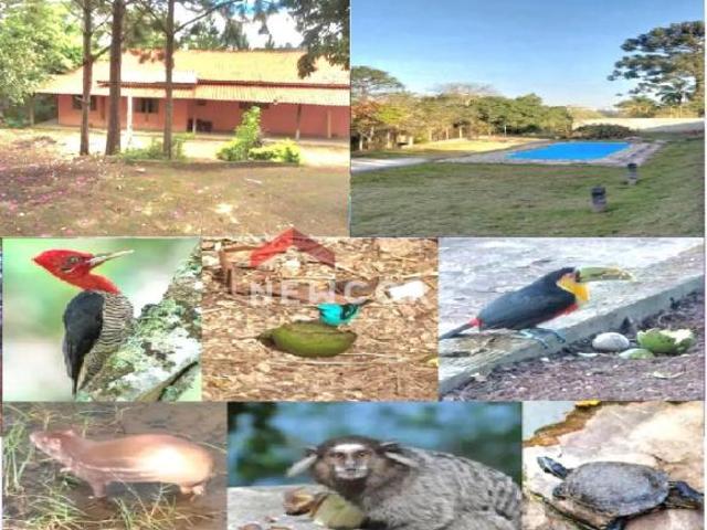 Chácara em Rua Clemente Tóffoli Pavão Canguera São Roque/SP