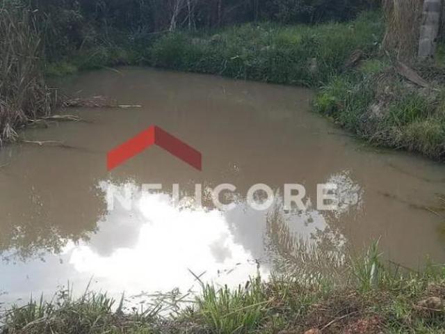 Chácara em Rua Domingos Perbiche Colônia Murici São José dos Pinhais/PR