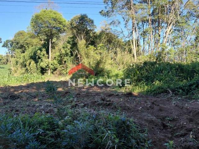 Chácara em Rua João Bortolan Colônia Murici São José dos Pinhais/PR