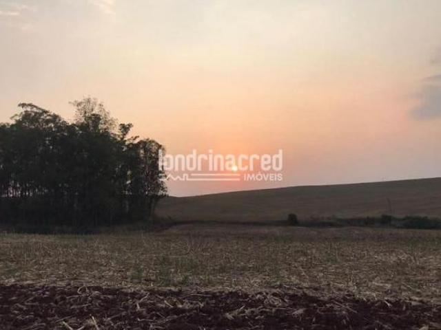 Chácara em Rural, Guairaçá/PR de 10m² 1 quartos à venda por R$ 1.485.000,00
