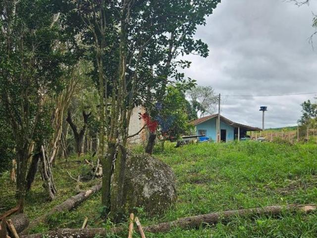 Chácara em Rio Verde, Araucaria/PR de 60m² 2 quartos à venda por R$ 700.000,00