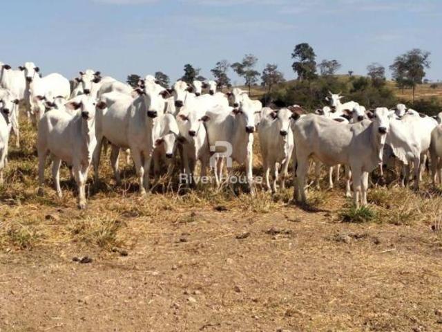 Chácara em Rio Manso, Chapada Dos Guimarães/MT de 340m² 3 quartos à venda por R$ 9.000.000,00