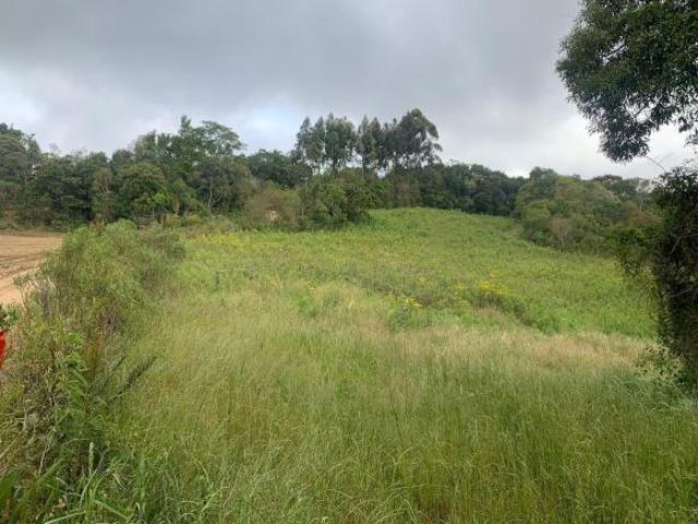 Chácara em Roça Velha, São José dos Pinhais/PR de 48650m² 1 quartos à venda por R$ 490.000,00