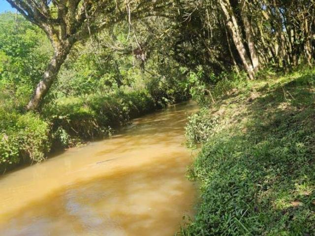 Chácara em São Jose dos Pinhais para locação com 58.440m² de tranquilidade e conforto!