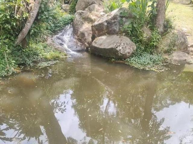 CHÁCARA EM SÃO LOURENÇO DA SERRA SP COD 5973 F: 11 97302 9229 CESAR