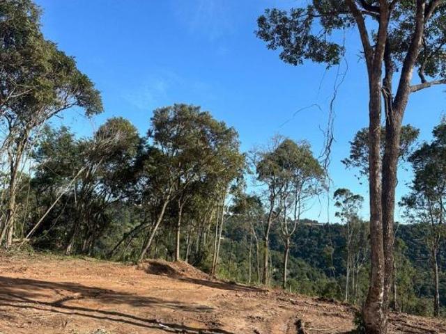 CHÁCARA EM SÃO ROQUE | INVESTIMENTO SEGURO NO INTERIOR. PORTARIA, ÁGUA, ENERGIA, LAGO PARA PESCA