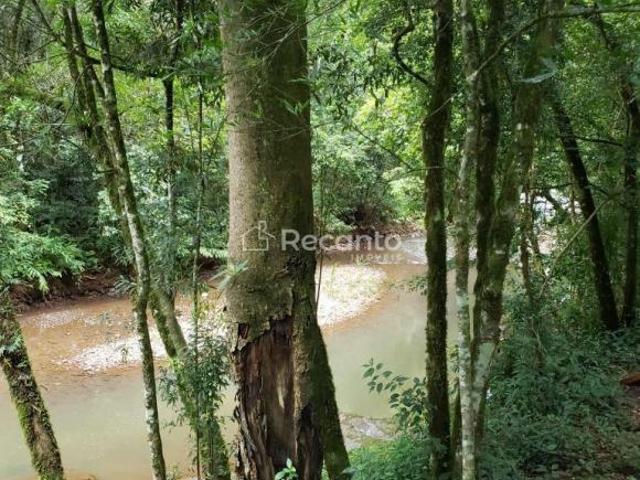Chácara em Serra Grande, Três Coroas/RS de 5000m² 1 quartos à venda por R$ 660.000,00
