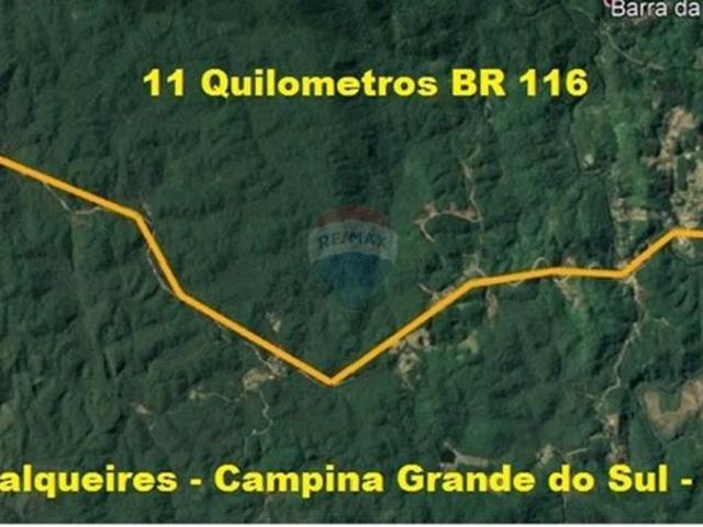 Chácara em Tunas do Paraná – Investimento Florestal de Alto Potencial