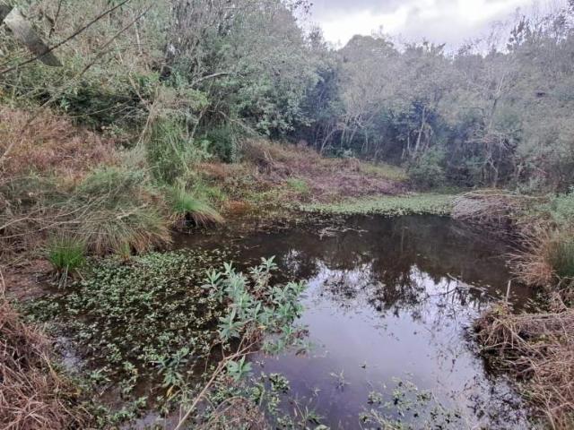 Chácara em, Tijucas do Sul/PR de 33000m² 2 quartos à venda por R$ 579.000,00