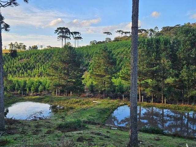Chácara em, Tijucas do Sul/PR de 9200m² 2 quartos à venda por R$ 338.900,00