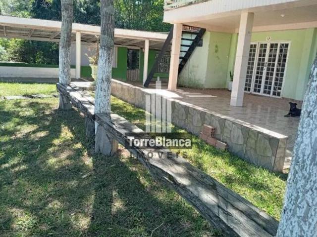 Chácara em Uvaia, Ipiranga/PR de 10m² 1 quartos à venda por R$ 500.000,00