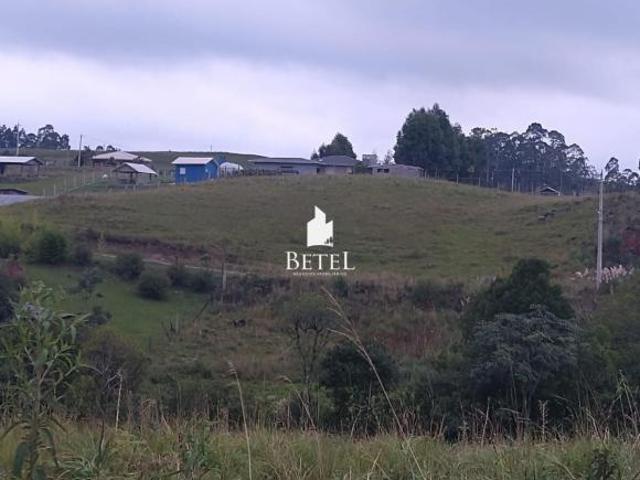 Chácara em Vila Seca, Caxias do Sul/RS