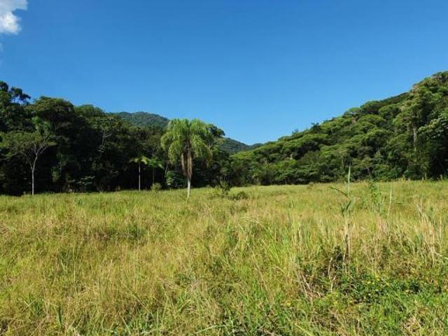 Chácara em zona rural Cananéia