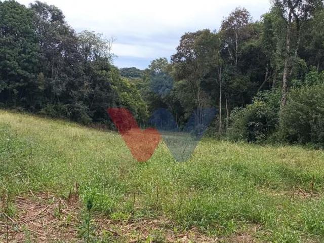 Chácara em Zona Rural, Araucaria/PR de 24300m² 1 quartos à venda por R$ 630.000,00