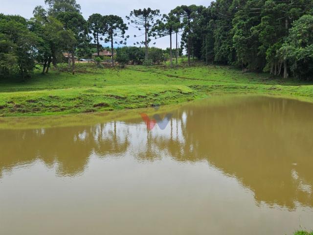 Chácara em Zona Rural, Araucaria/PR de 250m² 6 quartos à venda por R$ 2.999.900,00