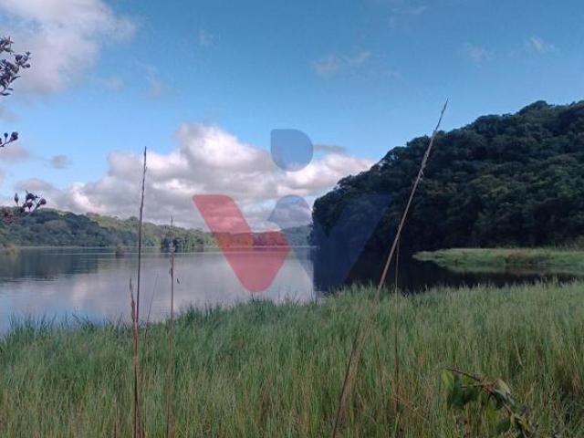 Chácara em Zona Rural, Araucaria/PR de 50m² 2 quartos à venda por R$ 1.260.000,00