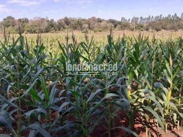 Chácara em Zona Rural, Santa Helena/PR de 10m² 1 quartos à venda por R$ 1.590.000,00