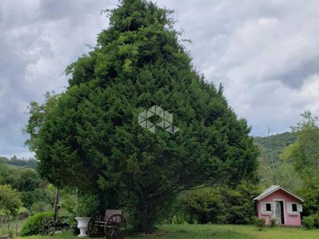Chácara entre Flores da Cunha e Caxias do Sul