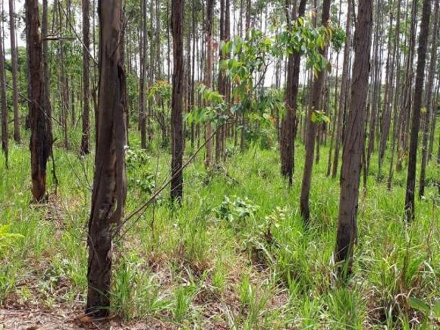 Chácara escriturada e registrada no Núcleo Rural Paranoá Aceita parcelar valor