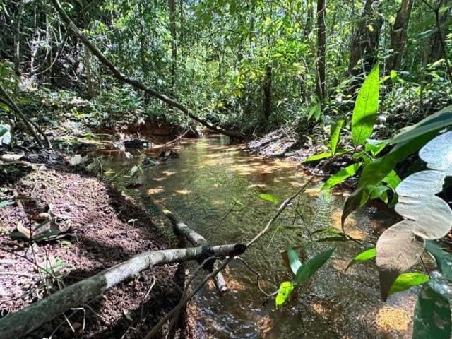 Chácara escriturada Luziânia 6.000 m²