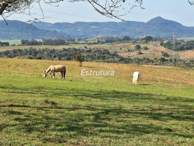Chácara Espetacular de 21 Hectares – Acesso Totalmente Asfaltado e a Poucos Minu