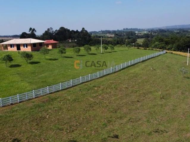 CHÁCARA FRENTE PARA ASFALTO, LINDA VISTA, POMAR, 100% ÁREA ABERTA E APROVEITADA