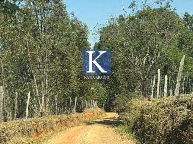 Chacara, Freitas, Pinhalzinho, SP