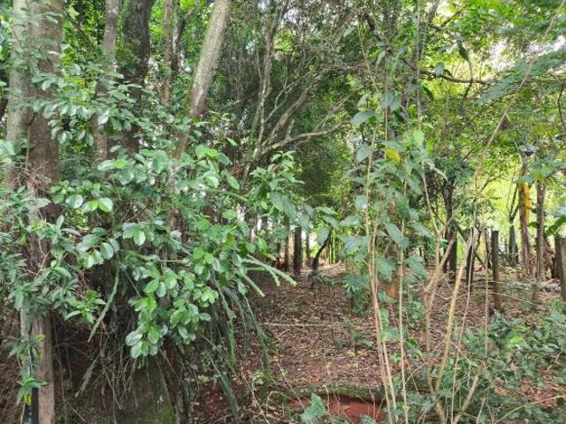 Chácara Jundiaquara Araçoiaba da Serra