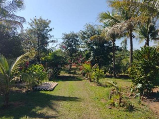 Chacara, Jardim das Palmeiras, Pindorama, SP