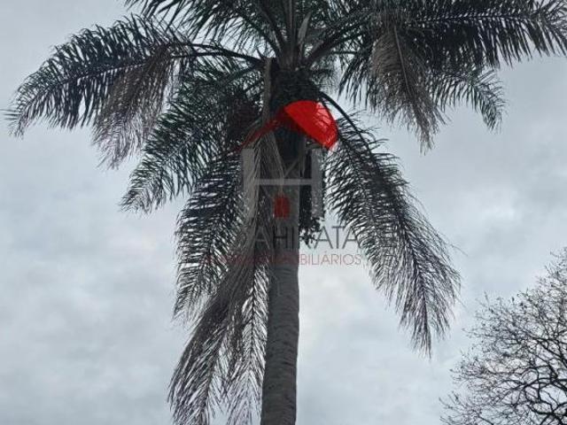 Chacara, Jardim Luciana, Franco da Rocha, SP