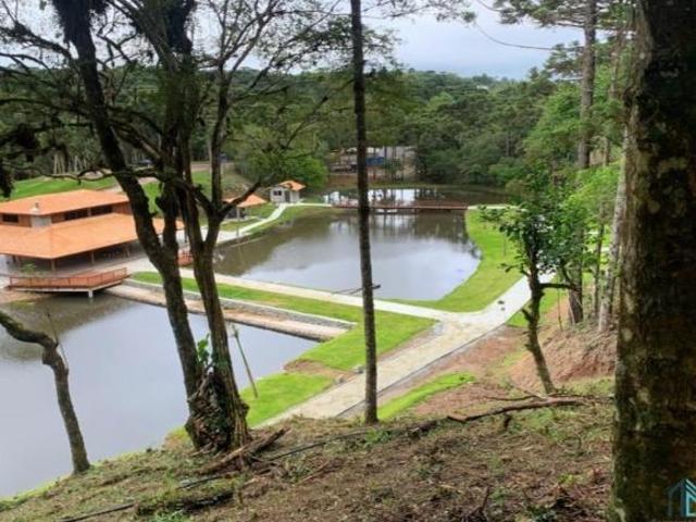 Chácara linda, açude grande, poço artesiano, 150 metros do asfalto, em Campina grande do sul, PR